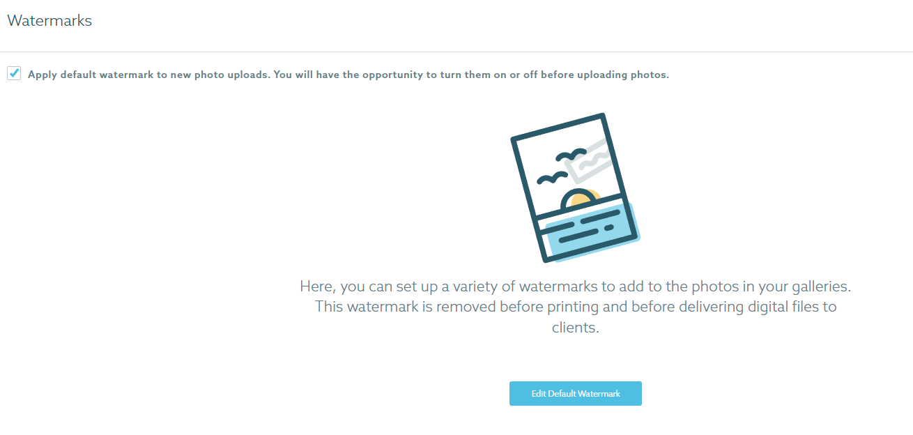 ShootProof Review – Pros, Cons, and Should You Use It (2024) – picu
